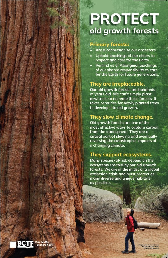Environmental Justice – BCTF Posters and Stickers